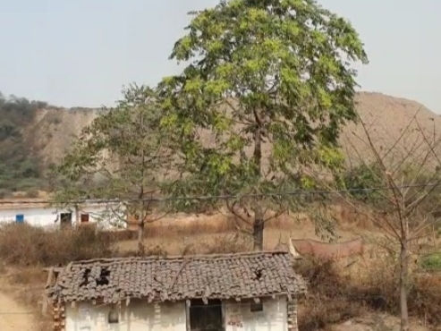 Blasting in SECL Kusmunda mine in Korba, roof of villager's house ...