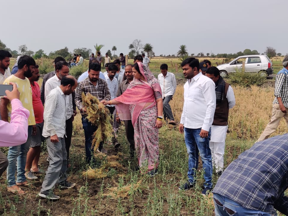 The MLA arrived to survey the fields; Farmers demanded compensation ...