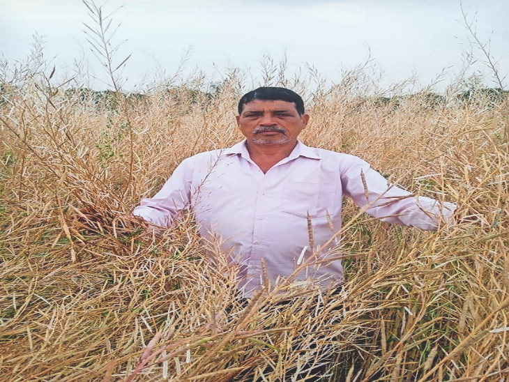 Most damage to hail, coriander and gram fell in Mahoti | एक सप्ताह में ...