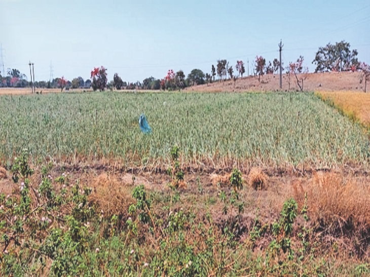 Dominant occupation of 80 bigha land of 35 tenant farmers | किसान ...