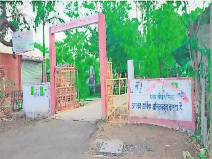 टिमरनी | Timarni - Dainik Bhaskar