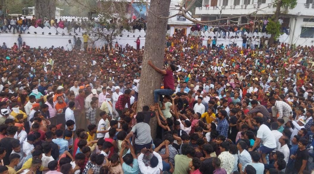25 फीट ऊंचे पेड़ से नेजा उतारने की परंपरा, जावर माता मंदिर में भरा मेला ...