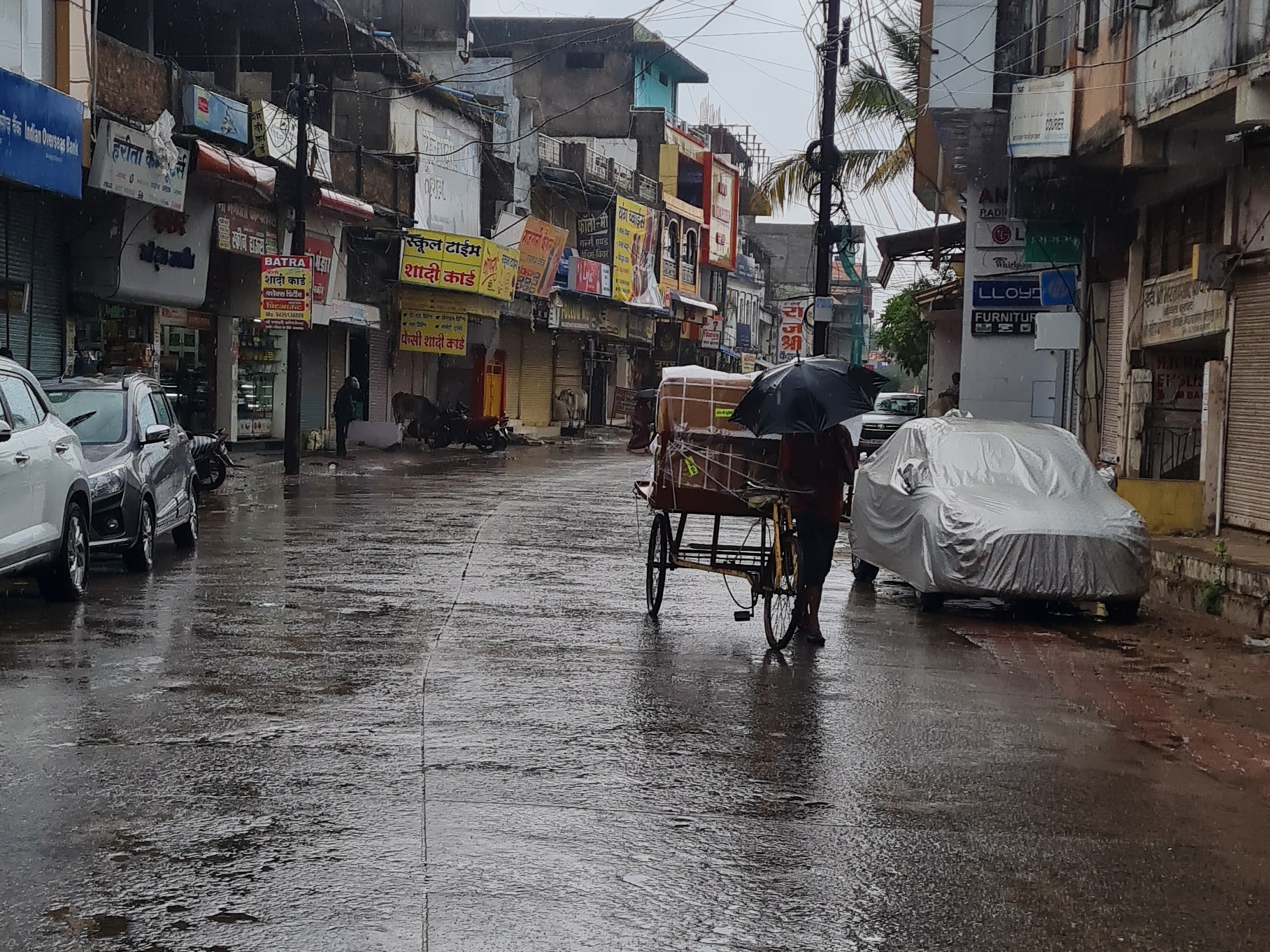 Rain became a disaster for farmers, pulses started in Rabi | बारिश से ...