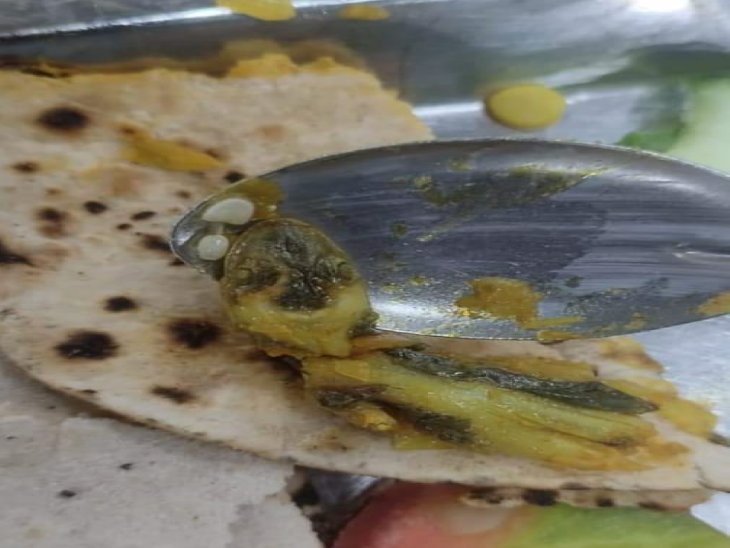 Lizard found in food, students created ruckus, made video of it, went ...