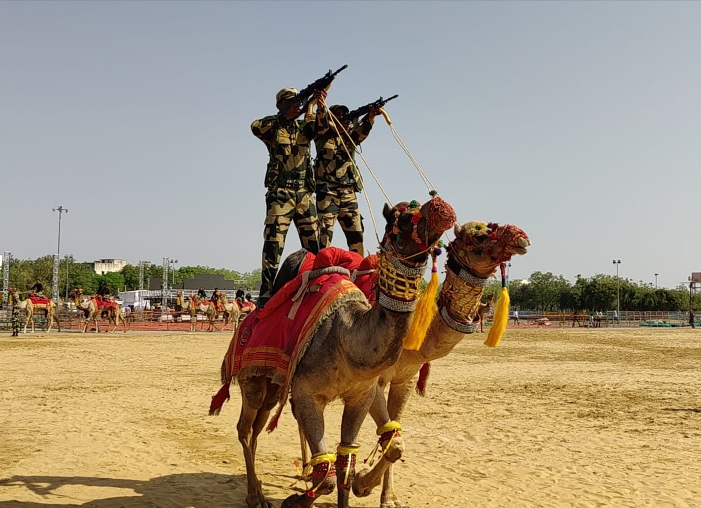 Bands, chariots, decorated camels, processions with horses, artists ...