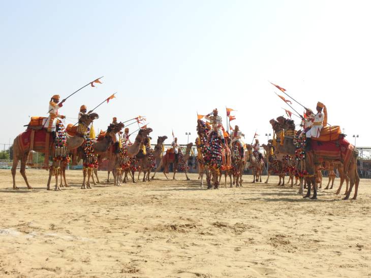 Panihari finished in Matka race and Jaswant first in Safa Bandho ...
