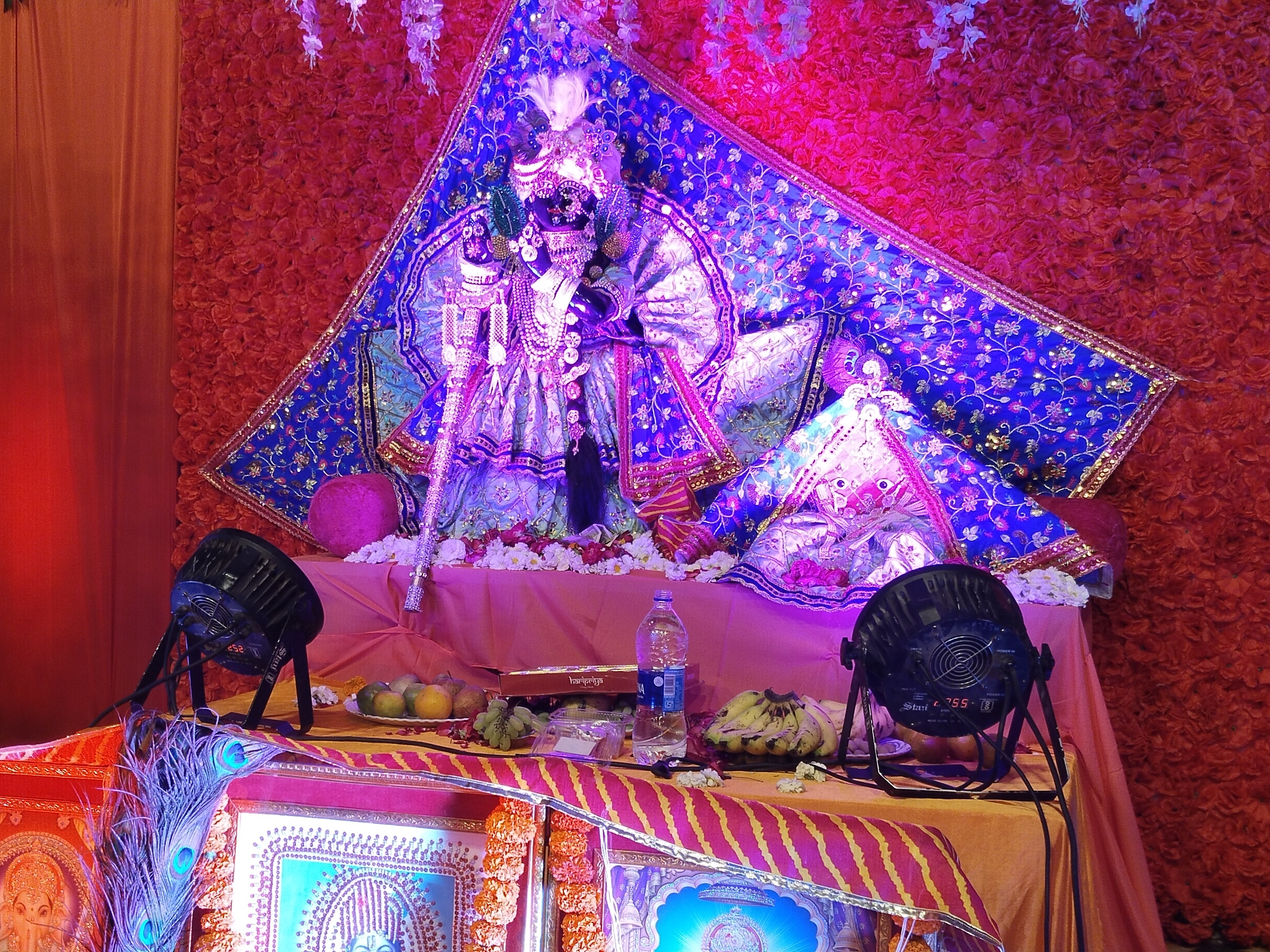 Holi of flowers played at the feet of Radha Rani, Kanpur MP Satyadev ...