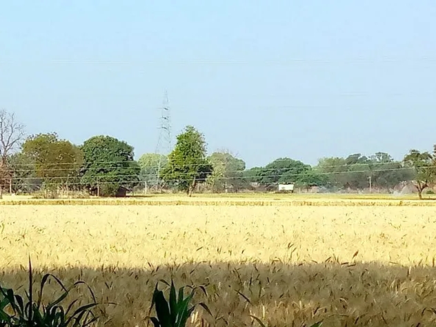 Wires hanging at a height of a few feet from the ground in Deori Kalan ...