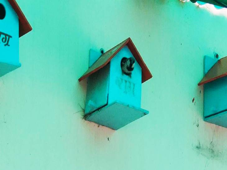 house in Varanasi is called Gauraiya Colony; No bouquets in parties ...