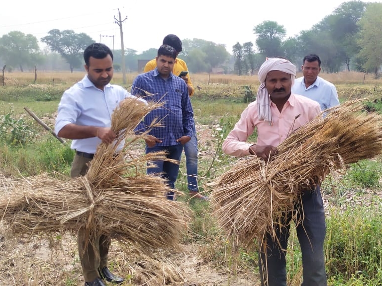 Took stock of crop damaged by rain, instructions given to officials to ...