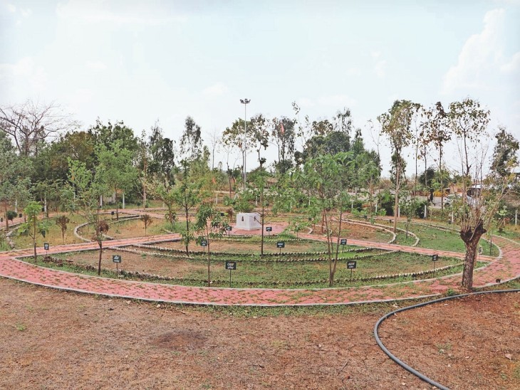 Nakshatra Vatika of Titora... 42 out of 48 plants safe even after 3 years