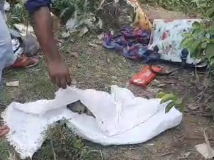 पुलिस सीसीटीवी की मदद से बच्ची का शव फेंकने वाले का पता लगाने में जुटी ...