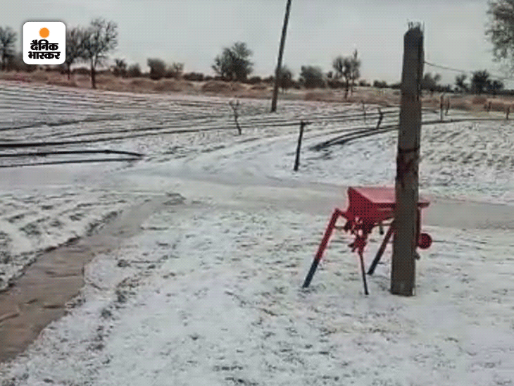Rajasthan Weather Update; Jaipur Churu Bikaner | Heavy Rainfall Damage Crops In Alwar | राजस्थान ...