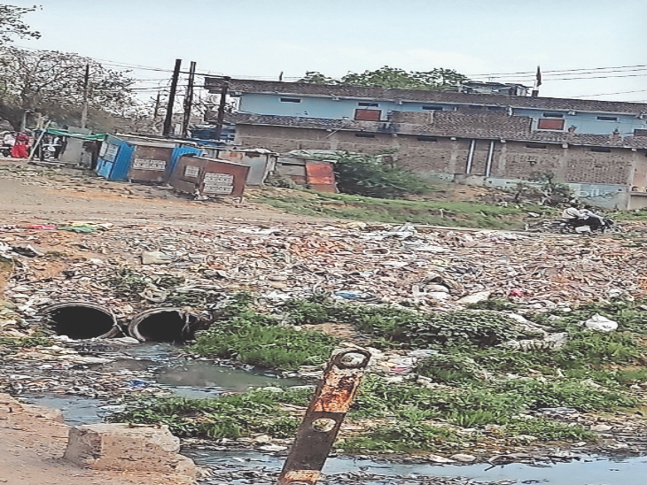The dying river in Rajgarh's Biaora, which selected MP for the Water ...