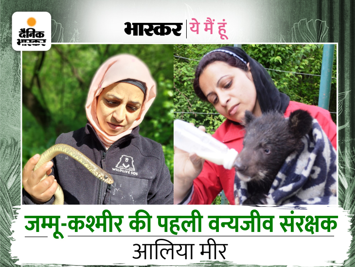 I got involved in saving animals, saved 400 snakes including cobra ...