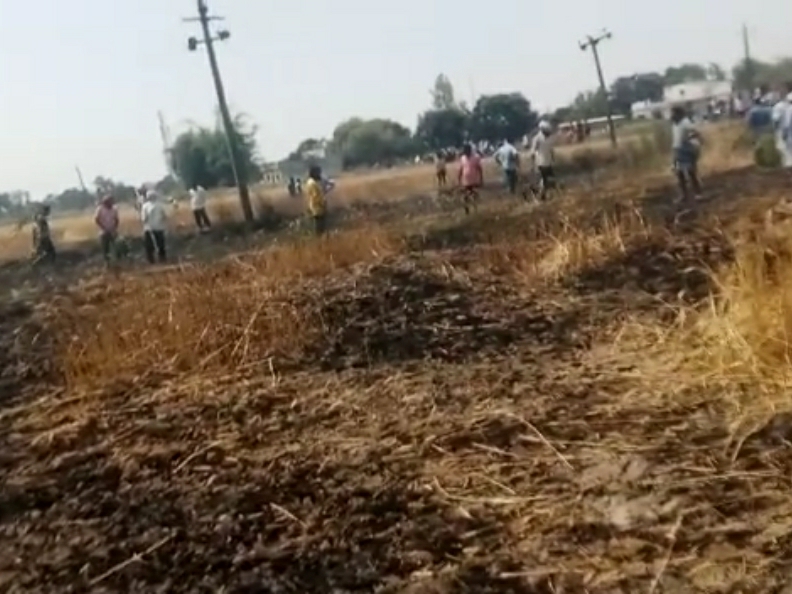 Wheat standing crop ashes, fire brigade team arrived after ...