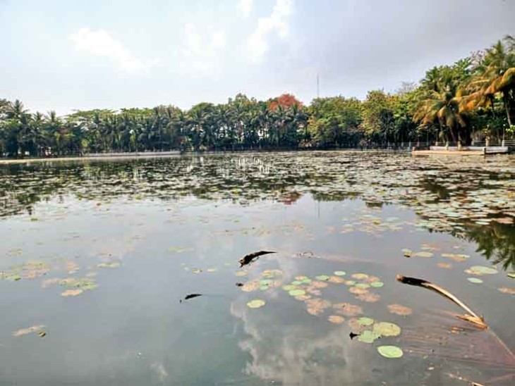 Food zone like Millets Cafe will be opened along with Sanvarega Bhelwa ...