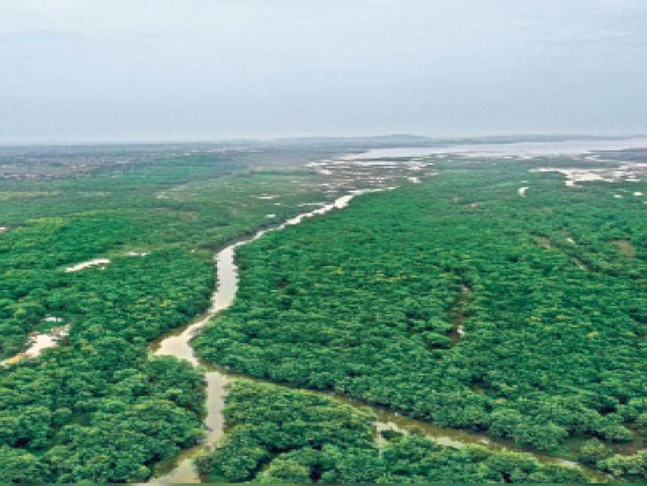 Disturbances in Sehore Master Plan 2035 regarding Bara Talab and Kolans ...