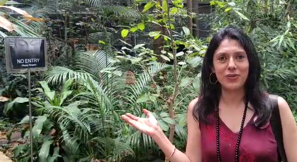 Osho Rajneesh Pune Ashram Violence Ground Report | Koregaon Park | ओशो ...