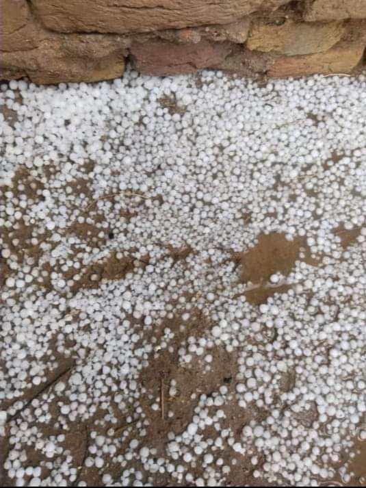 Rajasthan Weather Situation Photos Update; Jaipur Bikaner Rainfall ...