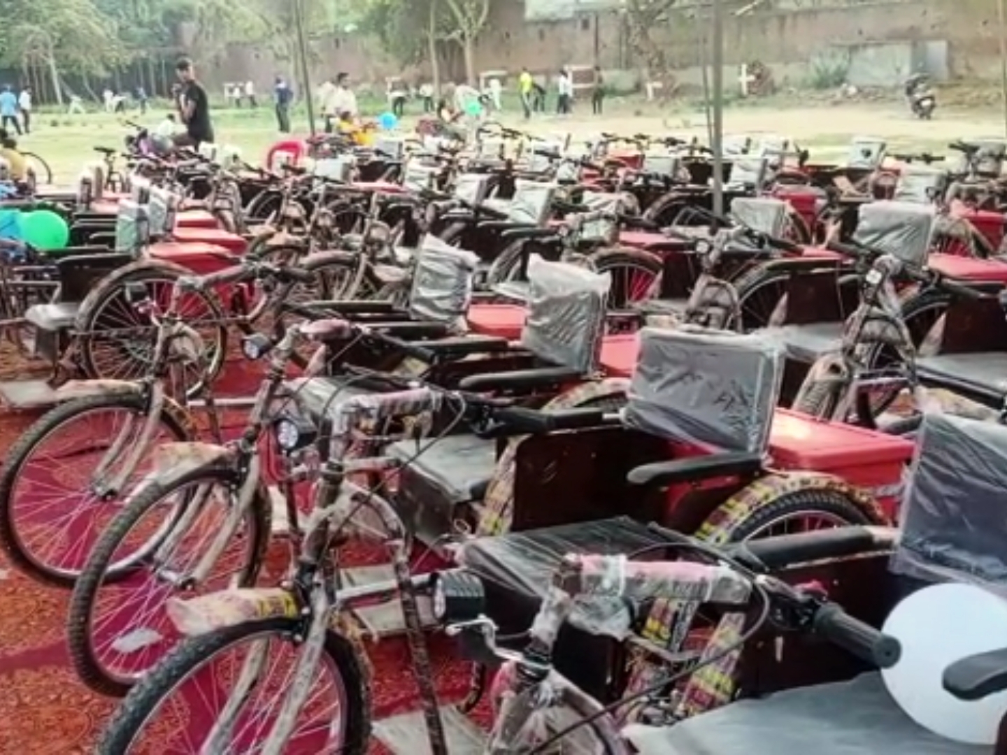 MP gave cycles to 100 disabled people, the faces of the beneficiaries blossomed | फिरोजाबाद में ...