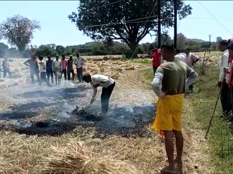 Standing crops in two bighas turned to ashes, incident of friction in ...