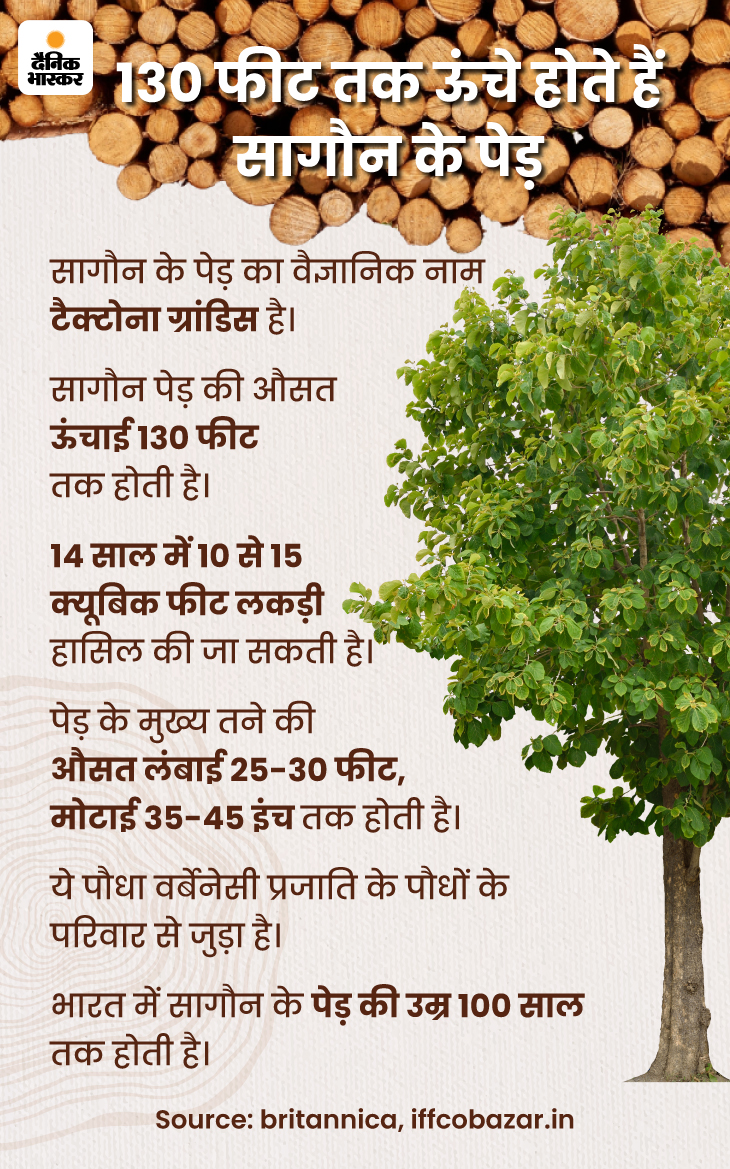 Ayodhya Ram Mandir Entrance Door; Chandrapur Jungle Sagwan Ki Lakdi ...