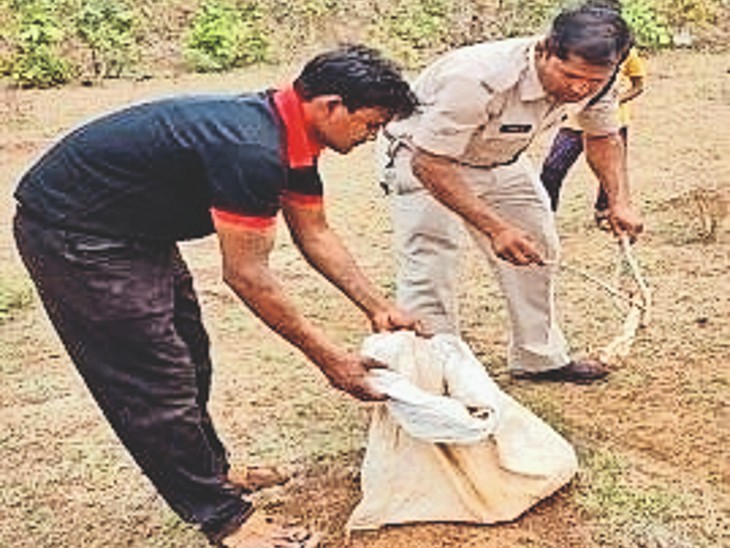Human skull and leg, spine and hand bones found near Gauthan in ...