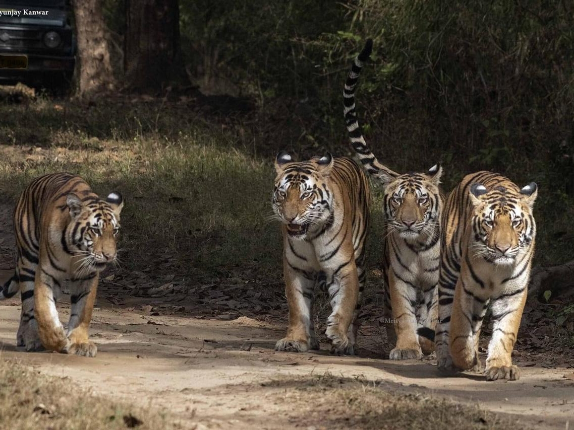 WWF's first Indian member shared his experiences, said- the number of ...