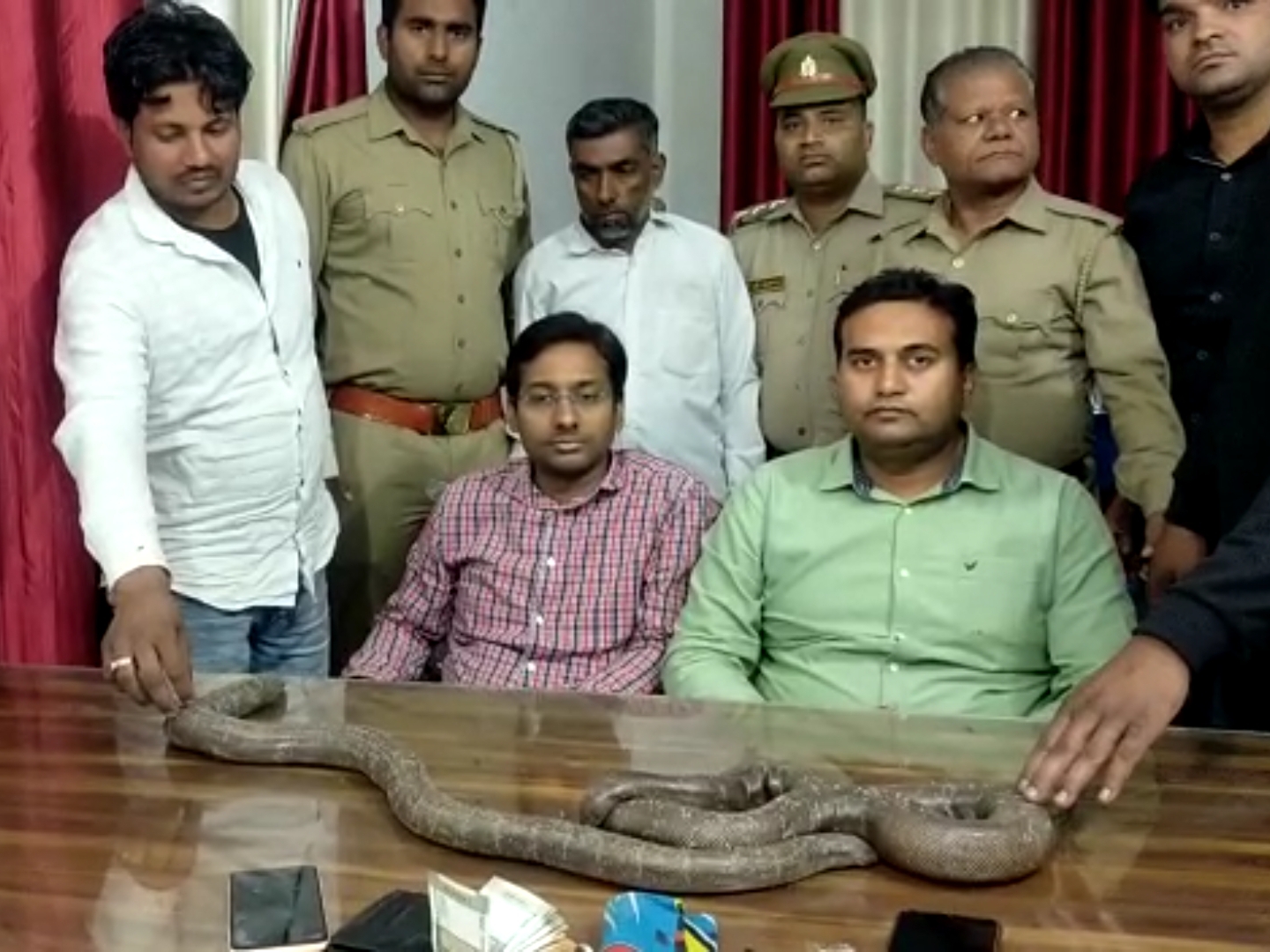 Two red sand boa snakes worth crores recovered | बिजनौर में तीन सांप ...