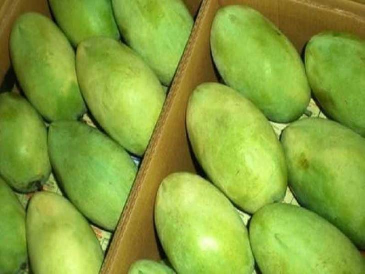 Registration of 4 products of Varanasi; Ramnagar's Bhanta and Adamchini ...