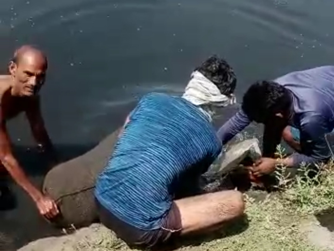 Accused arrested, husband along with friend had murdered in Jewar | छह ...