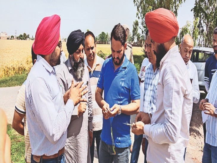 Instructions given to officers to do Girdawari in a transparent manner ...