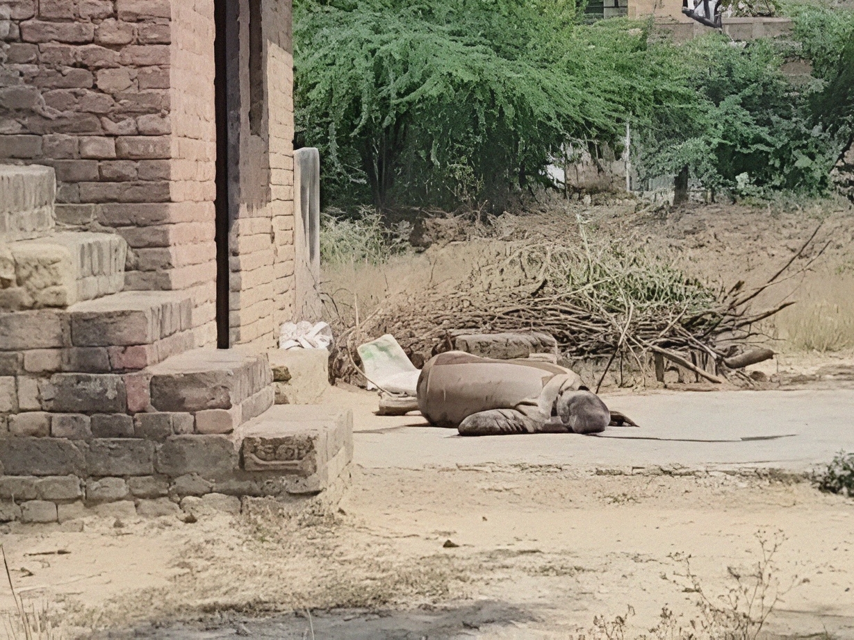 The dead body was lying outside the tubewell for 3 days, people came to ...