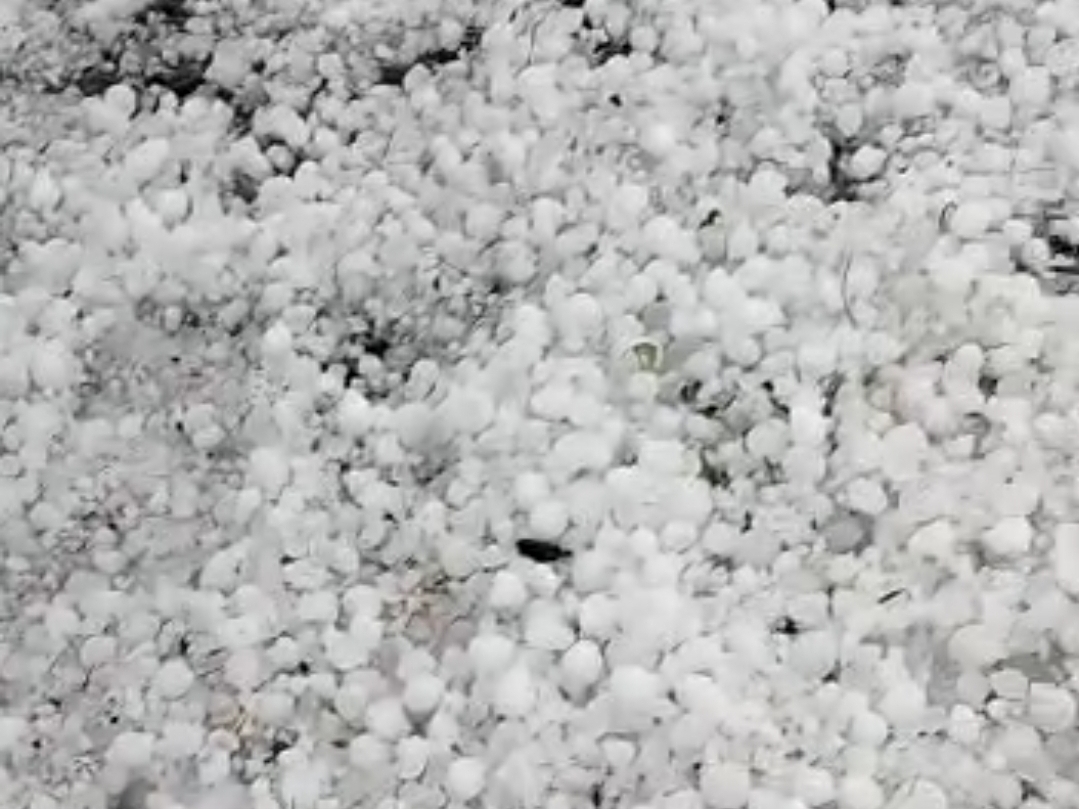 White sheet spread due to plum shaped hail, strong wind blew the roofs ...