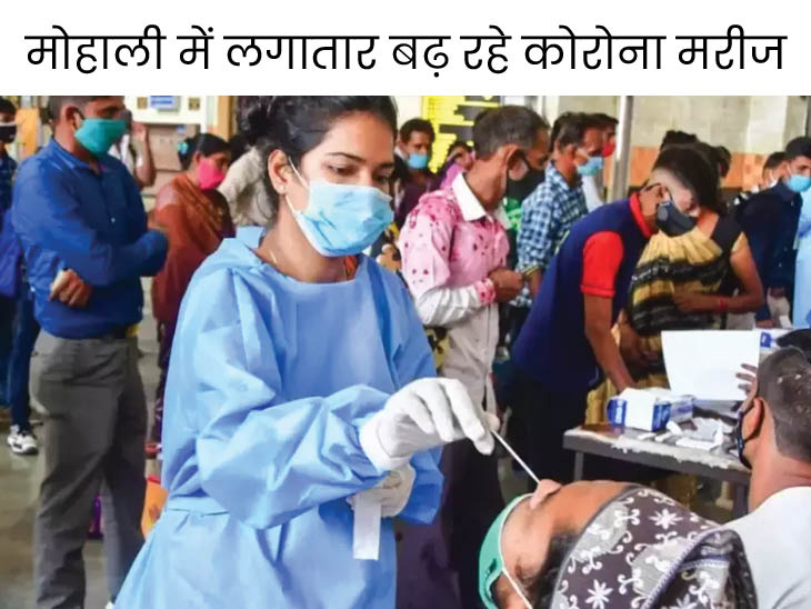 Punjab Corona Update 85 new positive cases 3 Death। 666 active cases 12 ...