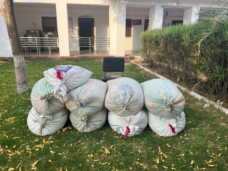 rajasthan barmer sedwa police arrest 4 thief, 9 sacks of cumin stolen ...