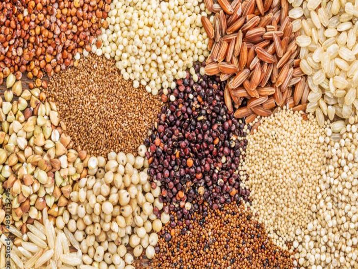 encourage the use of coarse grains; Recipe made from millets will be ...