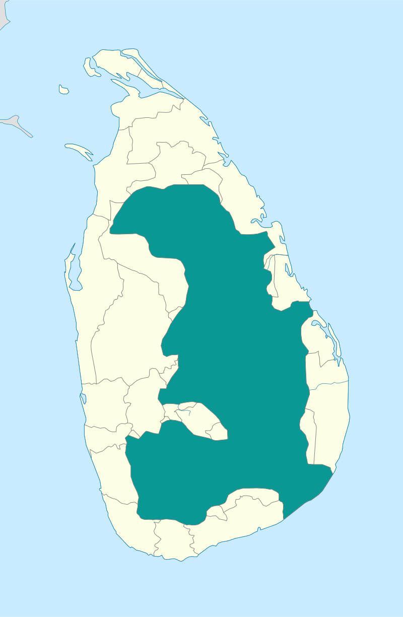 Sri Lanka Economic Crisis; China Demands SL Monkeys (Toque Macaque ...