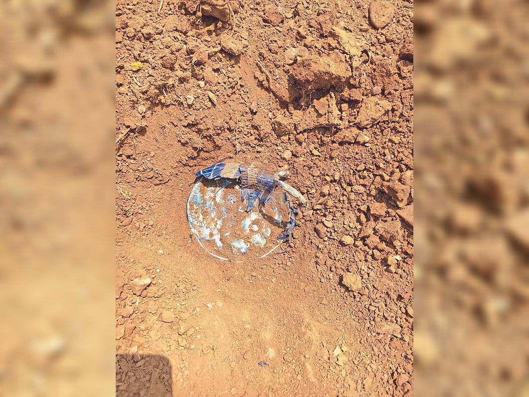 Naxalites are also becoming speechless victims of IED bombs laid, two ...