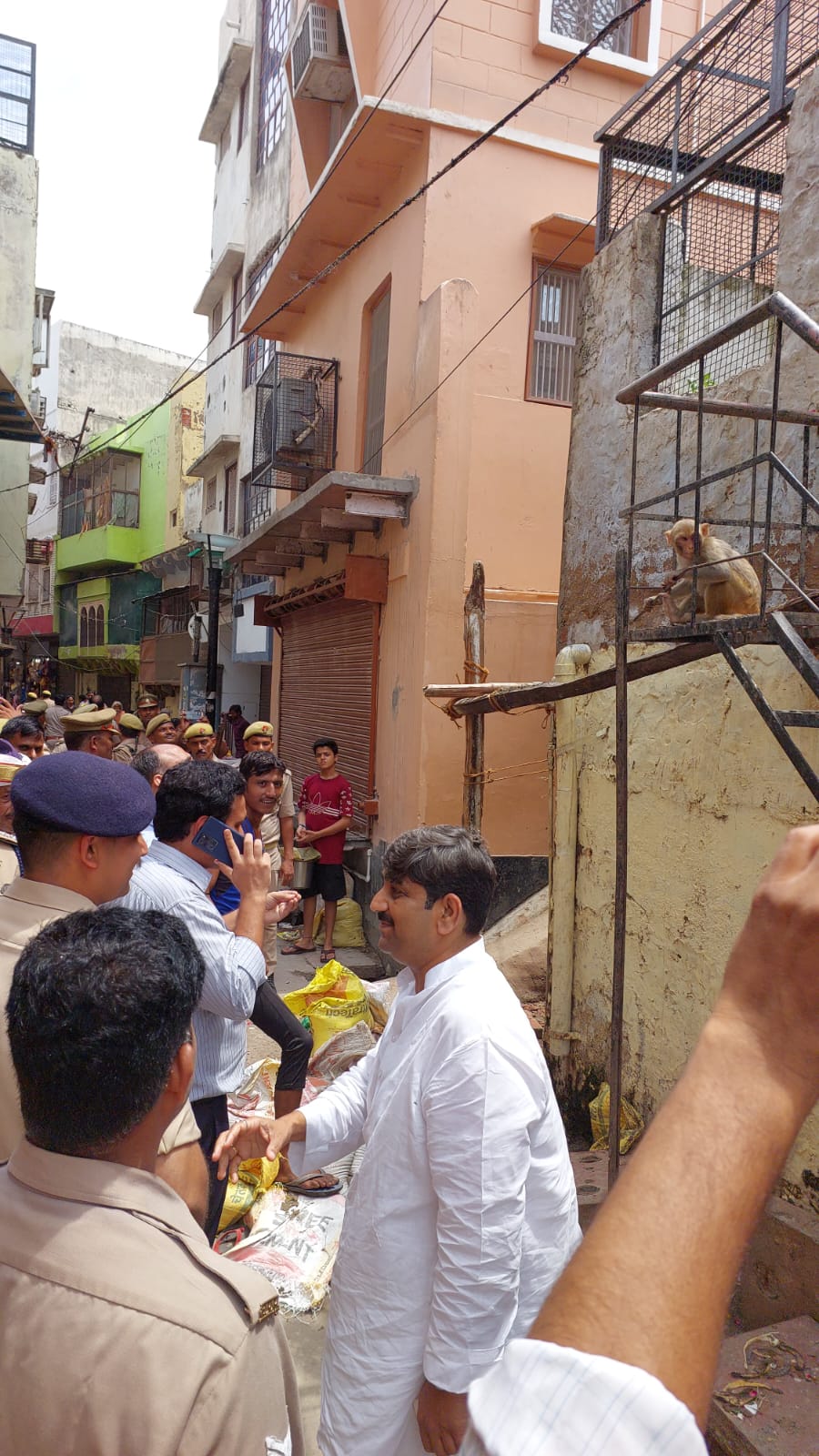 There is terror of monkeys in Mathura Vrindavan | मथुरा में निकाय चुनाव ...