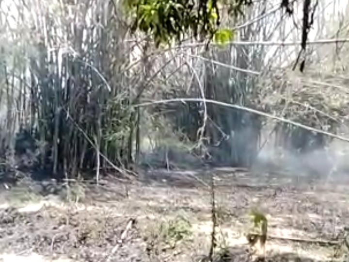 The flames reached the Bamboo Kothi, 3 vehicles of the fire brigade ...
