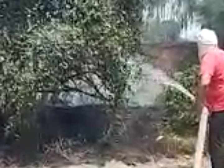 The flames reached the Bamboo Kothi, 3 vehicles of the fire brigade ...