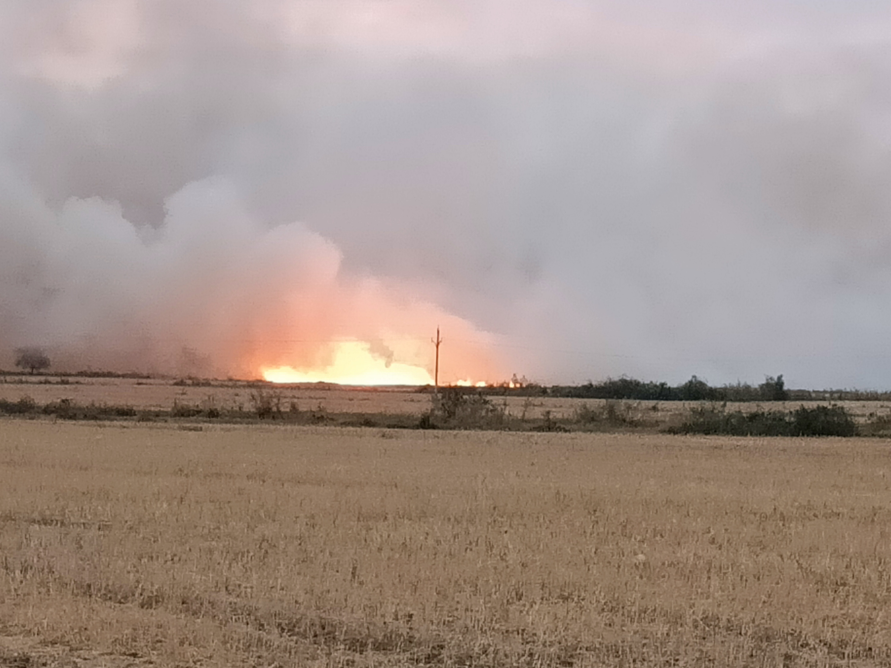 Fire broke out in Narwai at 3 places, extinguished by NAPA's fire ...