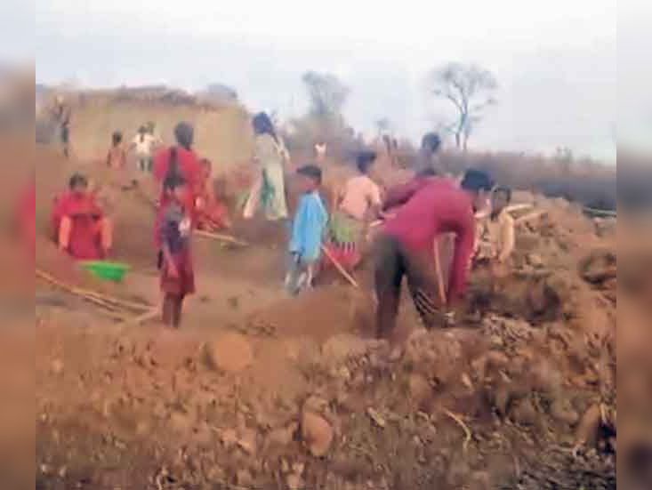 The work of digging pits and making nurseries is being done for ...