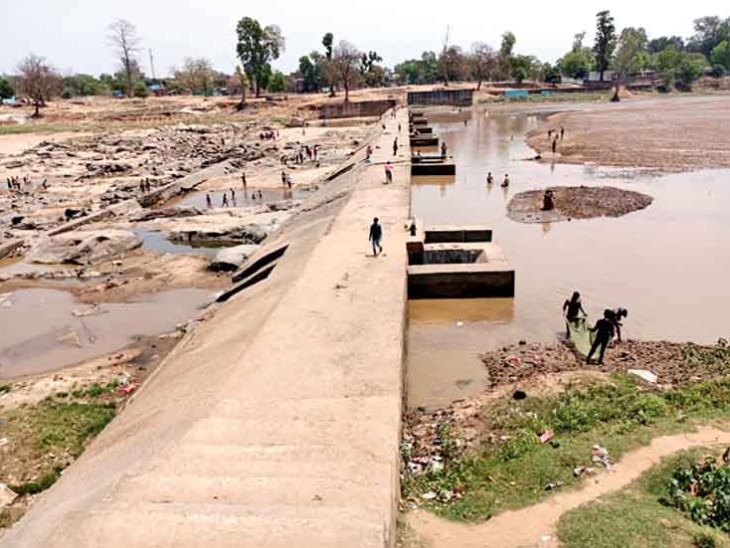 Anicut's gate on 'Kanhar' was damaged, became empty in 36 hours, now a ...