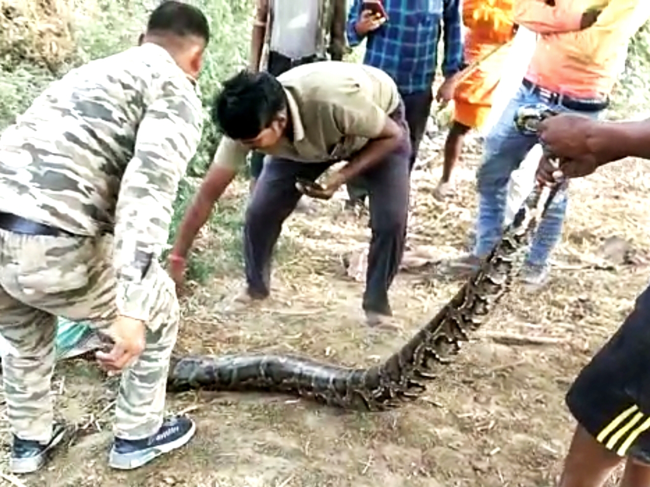 Forest workers caught with the help of villagers, locked in a sack and ...