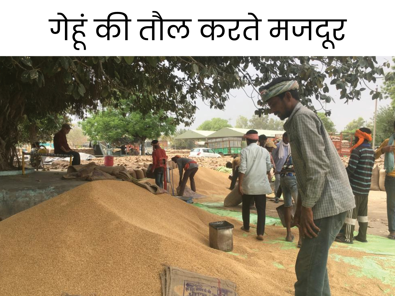 Faridkot News : Commission Agent Stole Market Fee, FIR | फरीदकोट में ...