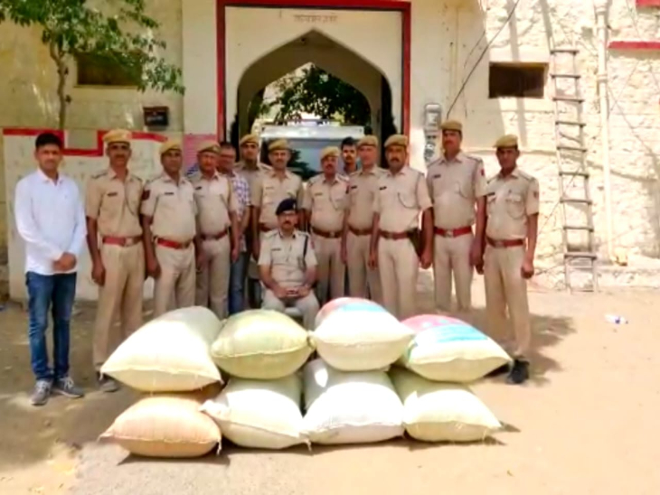 Rajasthan Drug Smuggling; Police Seized 156 Kg Doda Post In Barmer ...