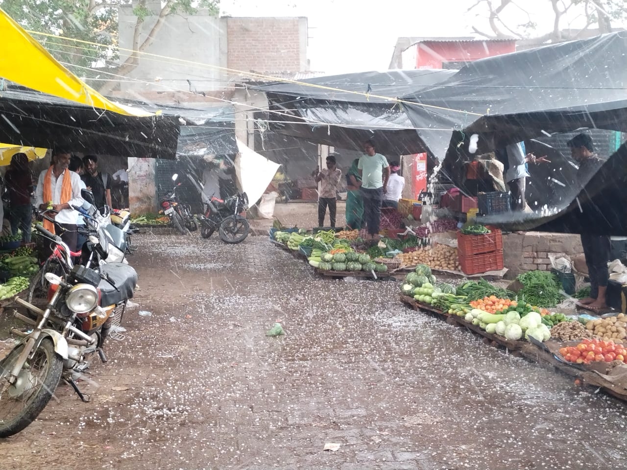 Hail fell with torrential rain; Damage to wheat-cucumber crop, relief ...